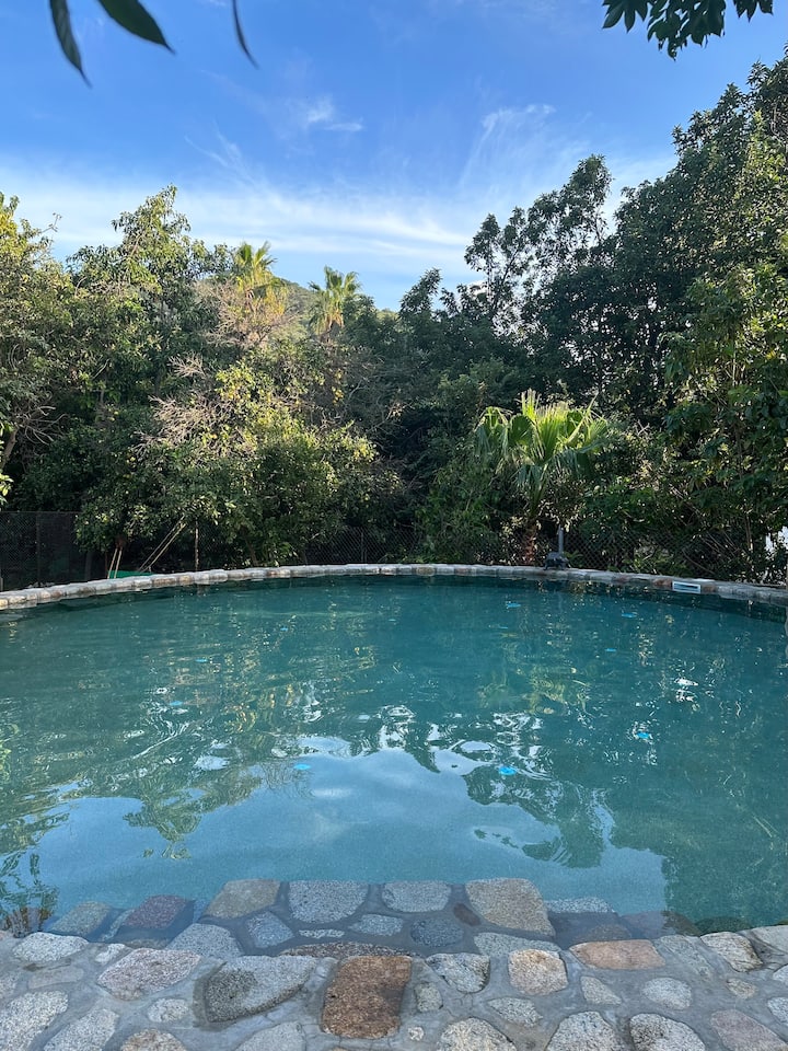 Buen Provecho - Los Barriles