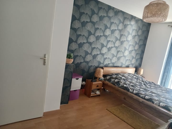 Chaleureux Logement 2-4 Pers. - Grenoble