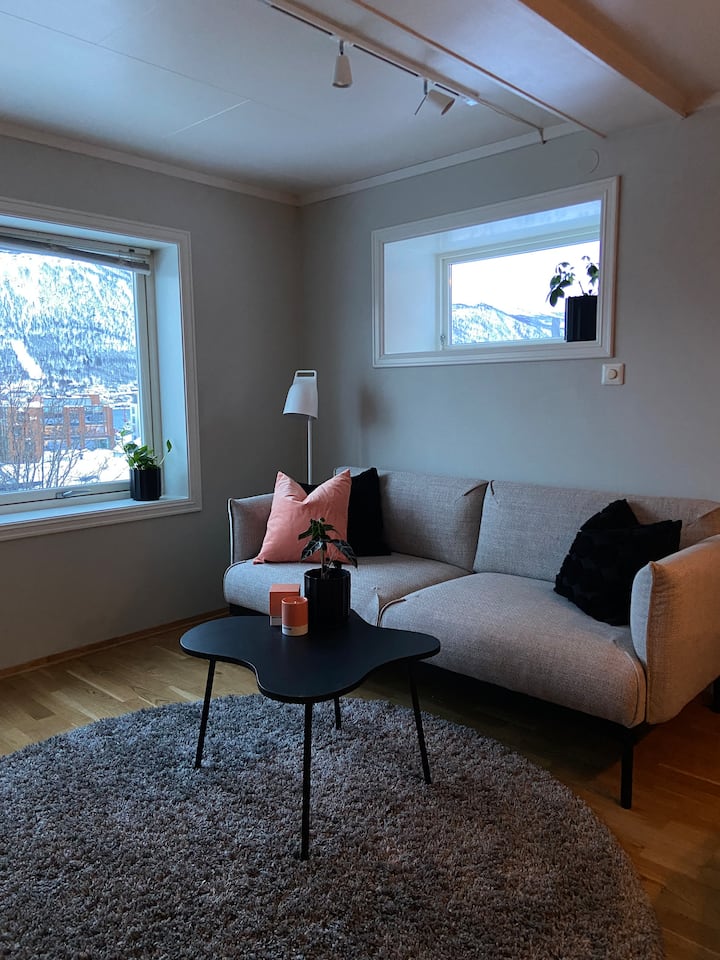 Aurora Apartment - 트롬쇠