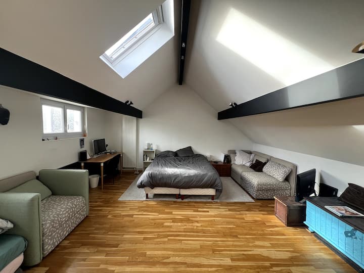 Très Grande Maison Proche De Paris - Villepinte
