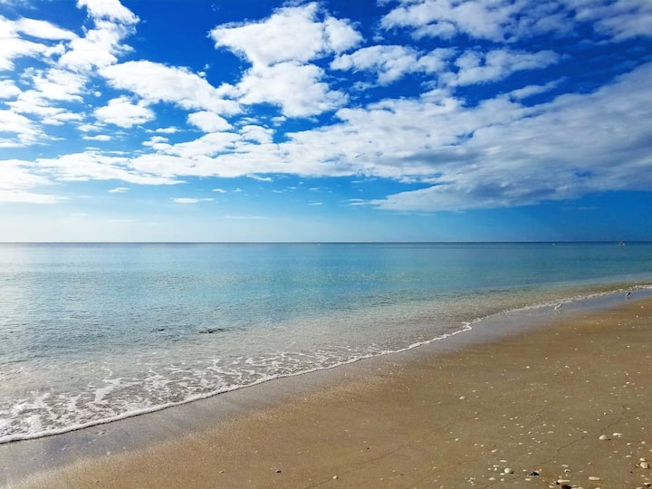 #4) Bikes, Kayaks Sups, Unmatched Amenities & More - Manasota Key, FL