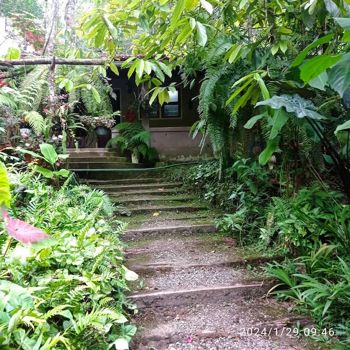 Chalé De Serra Aconchegante - Guaramiranga