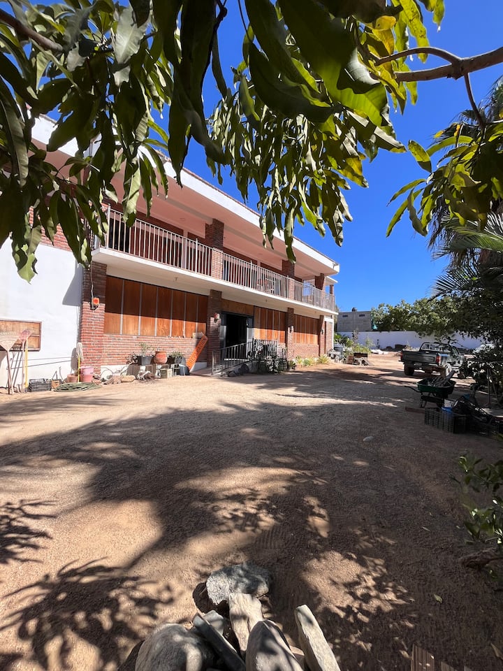 Medusa 2 - Todos Santos
