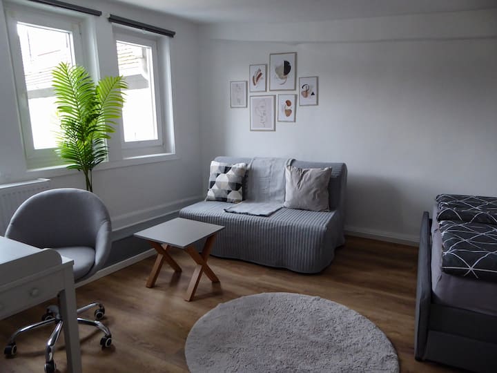 Apartment (Apt.1) In Der Altstadt - Lahntal