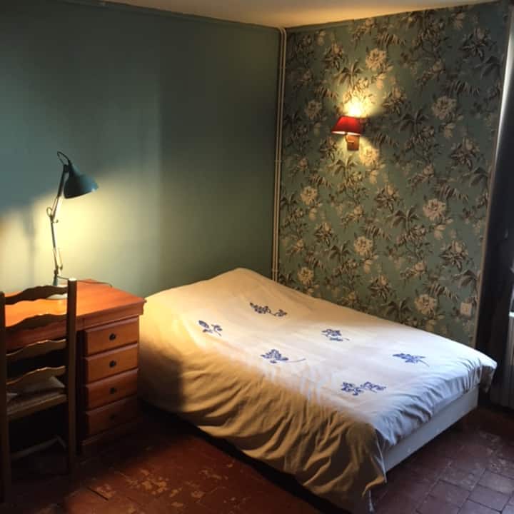 Chambre Bleu-vert - Angers