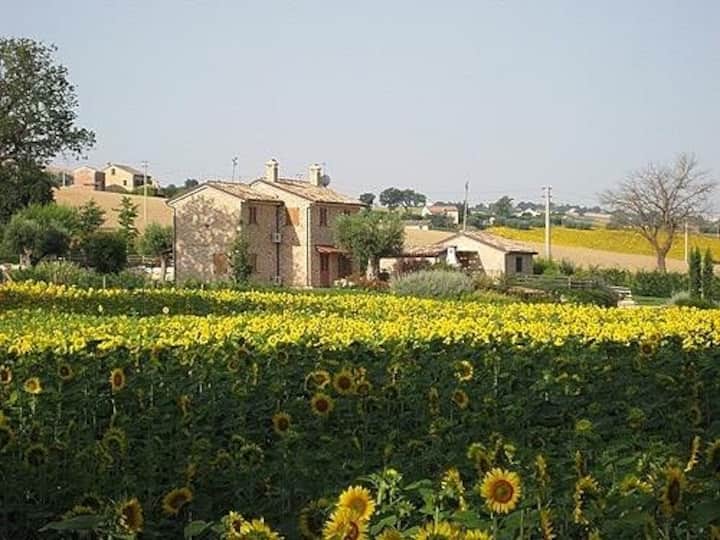 Cascina Poeta: Passero Solitario - Recanati