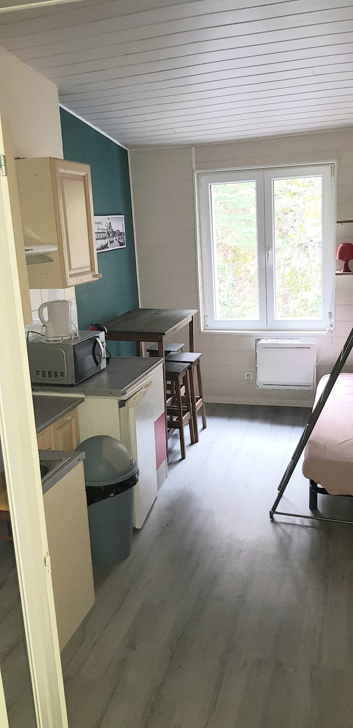Menthe - Studio Familial Vu Sur La Foret - Lac Chambon