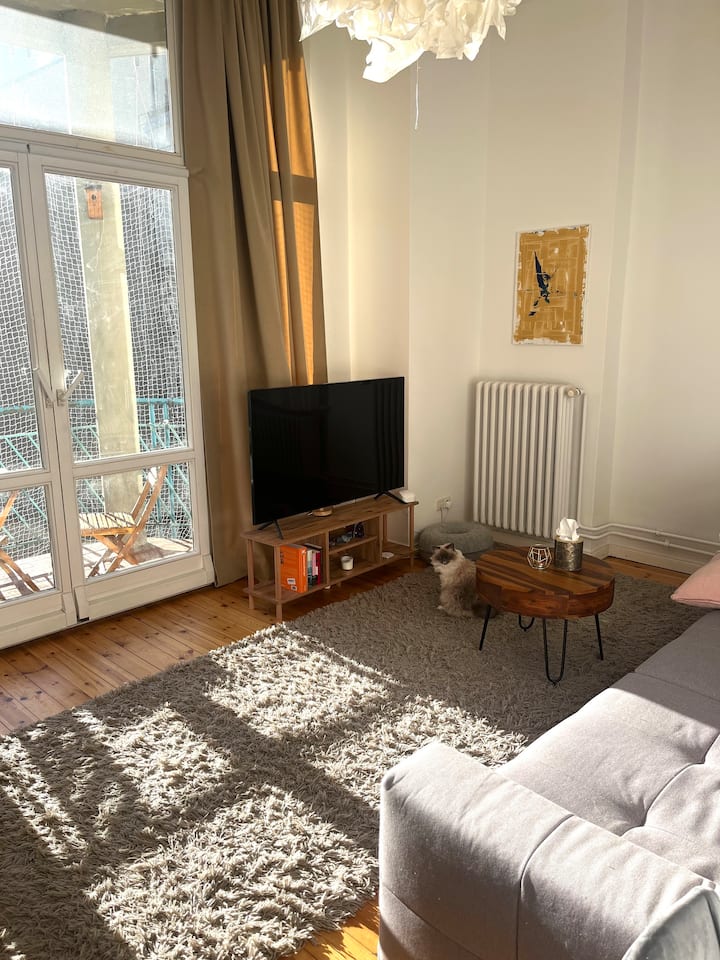 Only Cat Lovers! 2 Rooms, Sunny, Central, Calm. - Berlín