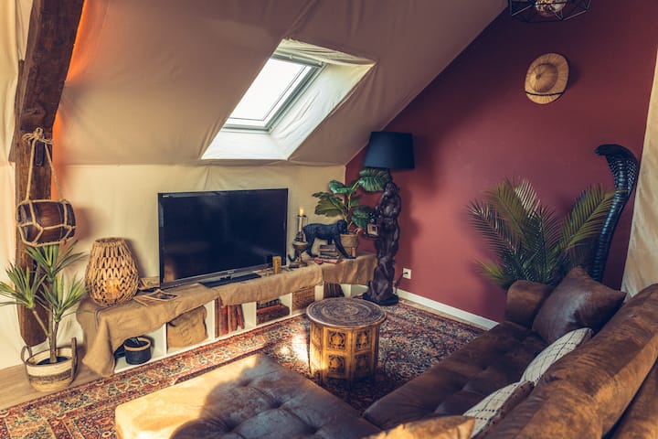 L’insolite : Expérience Safari Chic à Saumur - Saumur