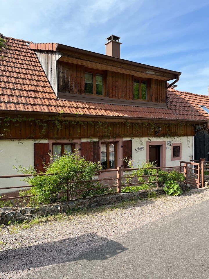 Bellefosse, Gîte La Roselière - Alsacia