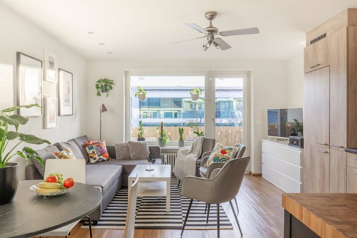 Special*picco Picasso*apartment - Basiléia