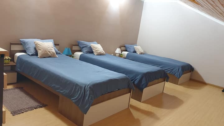 My Holiday 1 - Subotica