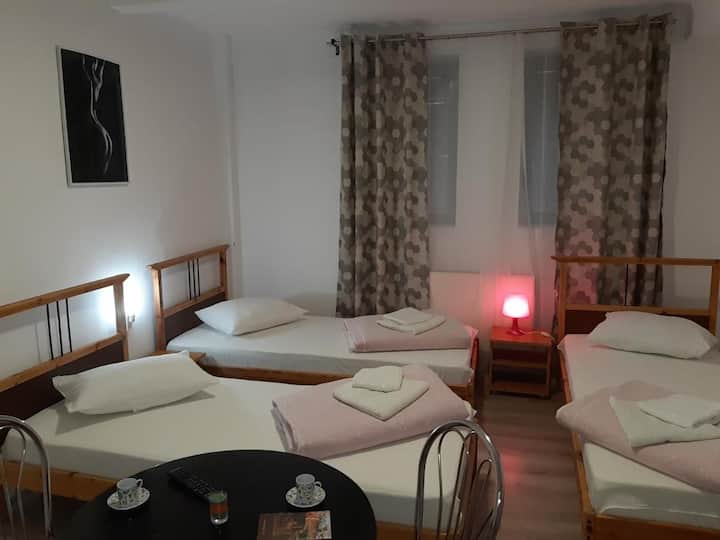 Apartament Central - Carol 51 - Bucharest