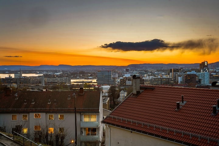 Sentral Utsikt Over Oslo - Oslo