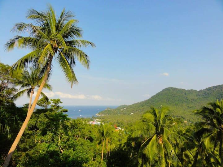 Jazz Rock - Jungle House - Ko Tao