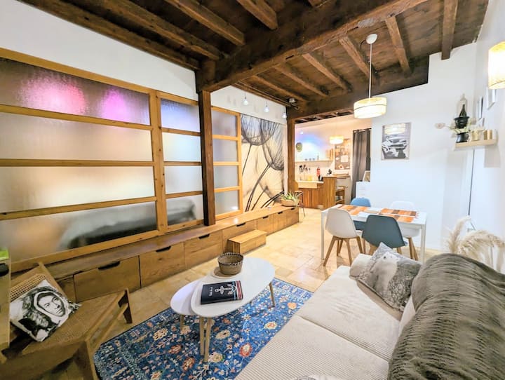 Loft Proche Garonne / Capitole - Toulouse