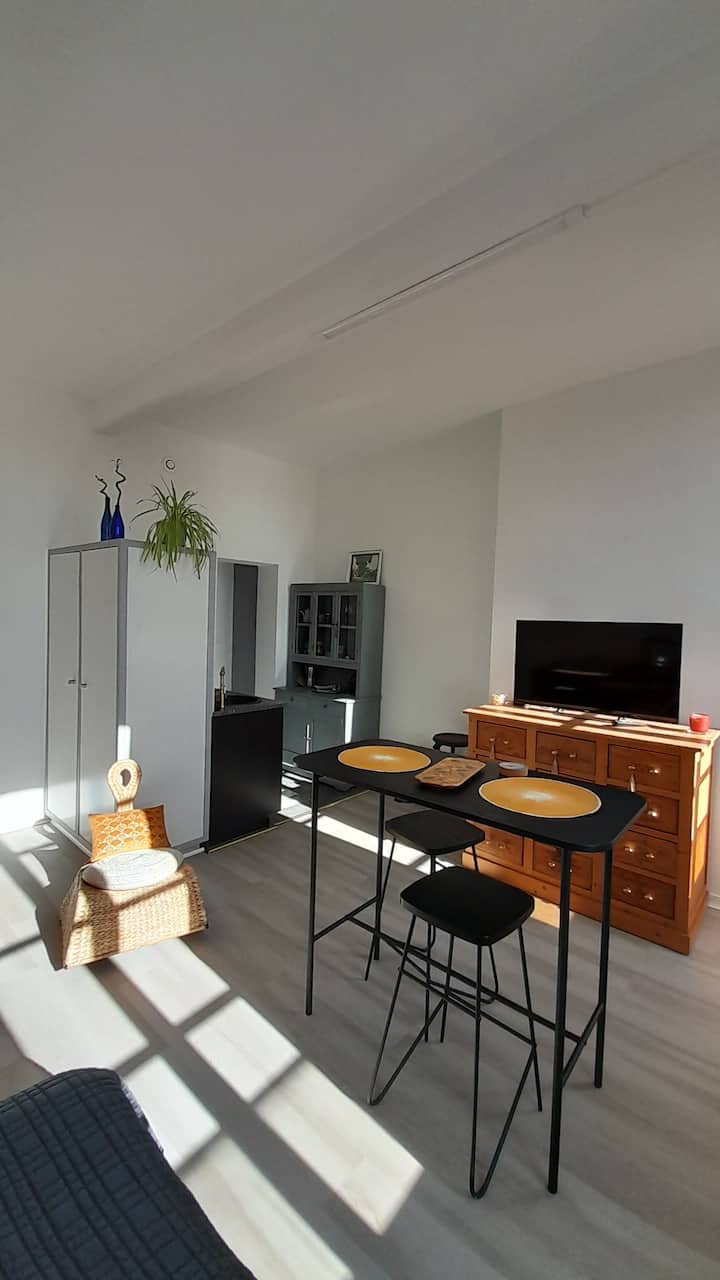 Studio 30 M2 Bordeaux Centre - Bordeaux
