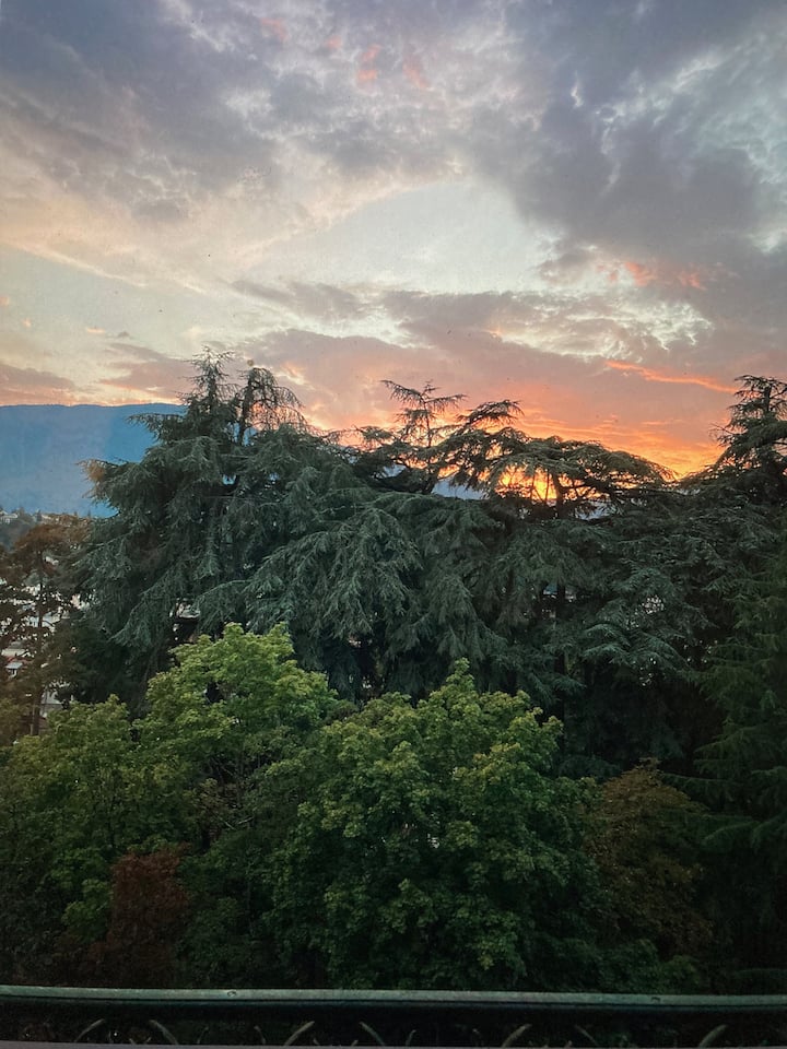 Studio Centre Face Parc Floral. - Aix-les-Bains