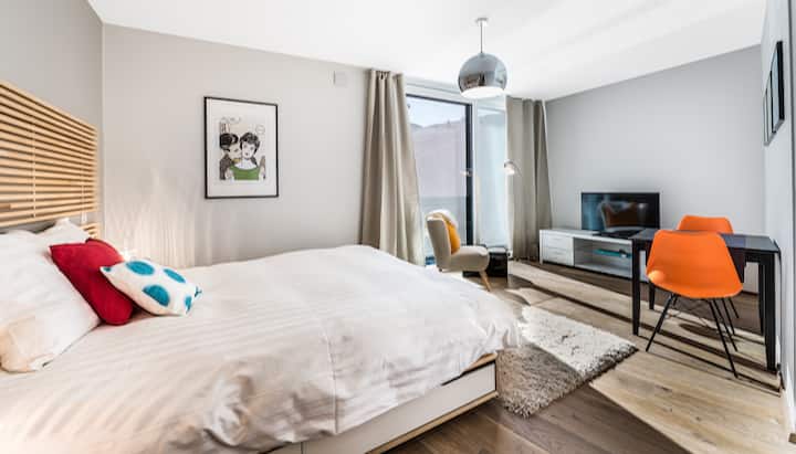 Beautiful Studio In Carouge - 753000 - Carouge