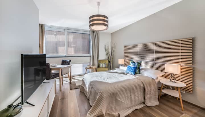 Beautiful Studio In Carouge - 163000 - Carouge