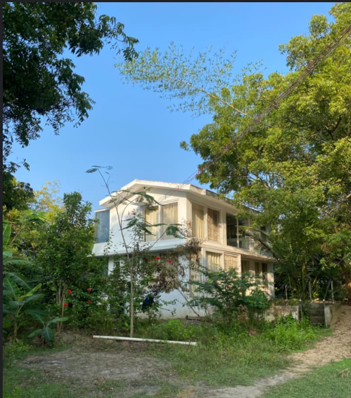 Farmhouse Surrounded By Lush Green Bamboo Grove - Tindivanam