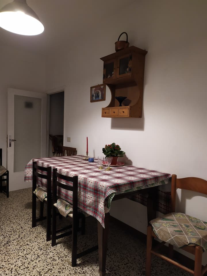 Accogliente E Semplice Appartamento - Florence