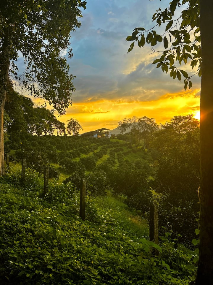 Beautiful Refuge In The Heart Of The Coffee Region - Quindio