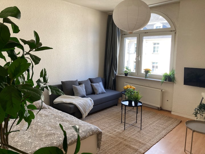 Efficient 8min Bus City Center - Wuppertal