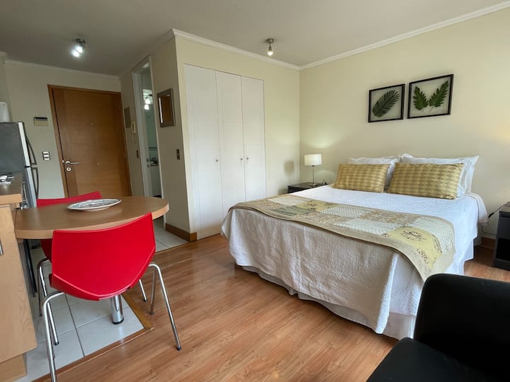 A08 Acogedor Apartamento Estudio - Santiago
