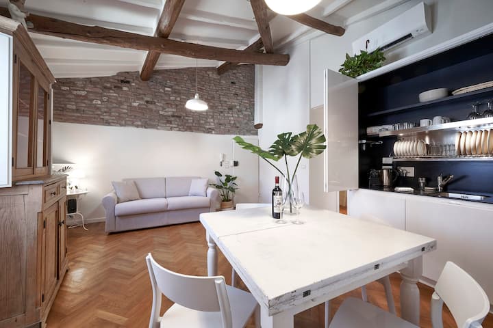 Pitti Cactus Apartment - Florence