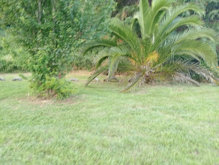 Nice Hide Away Location - Rotorua