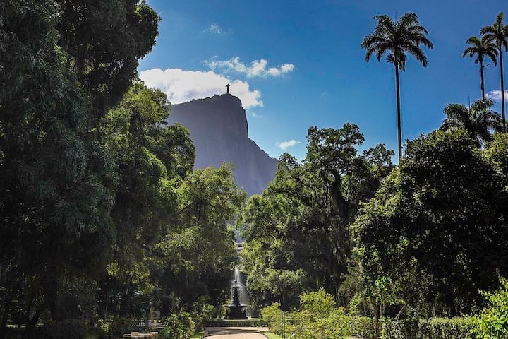 O Jardim Botânico Na Sua Porta. - Rio de Janeiro