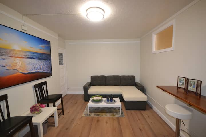 Cozy 1br Near Ucsf – Ideal For Nurses & Students - San Francisco, CA