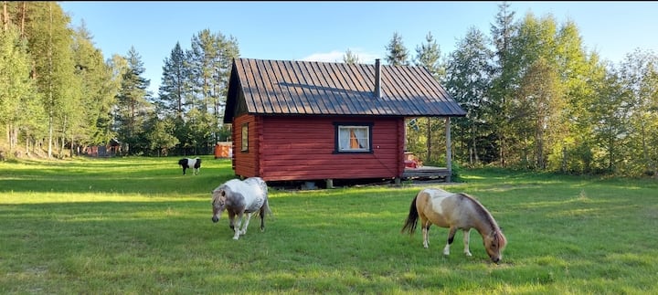 Country Cabin - Hagfors