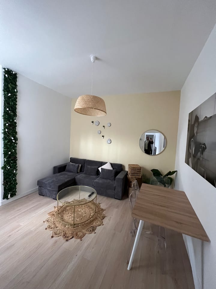Appartement Bohème Centre Ville - Duinkerke
