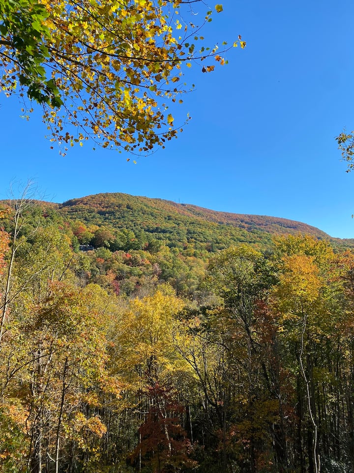 Hickory Heaven - Amazing View! - Sapphire, NC