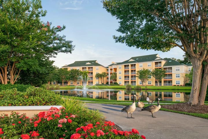 Marriott Sheraton Broadway Smaller 1 Bedroom - South Carolina
