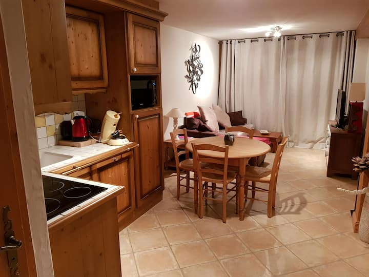Appartement Au Calme Et Proche Des Commodités - Les Carroz d'Arâches