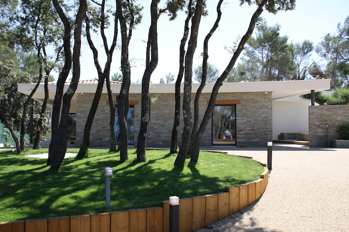 Villa 300 M2 Dans La Pinède - Montpellier