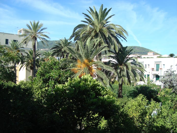 Ischia Centrale E Vicino Al Mare - Procida