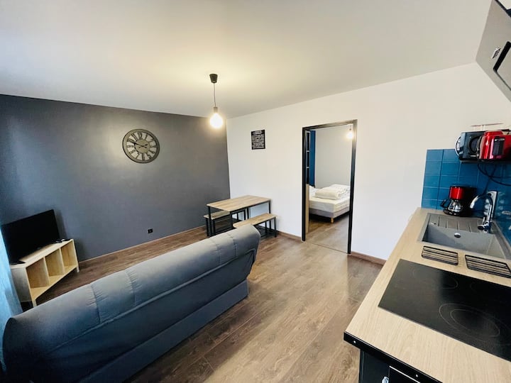 Appartement Calao - Saint Aignan