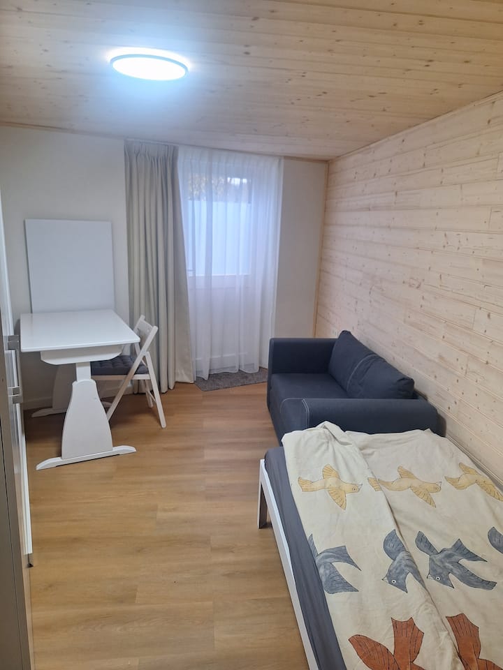 Room In Randwijk - Maastricht