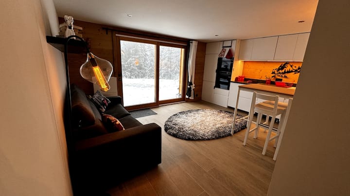Vue Mt Blanc - Chalet - Passy