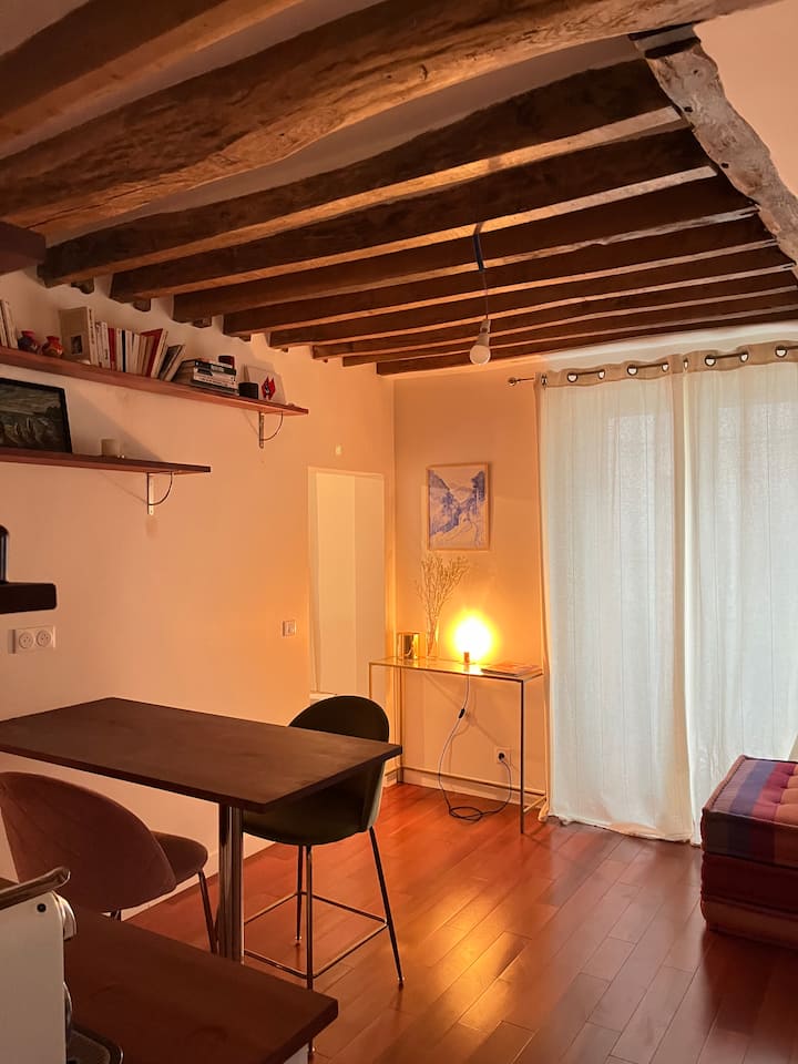 Charmant T2 - Belleville - Châtelet - Les Halles - Paris