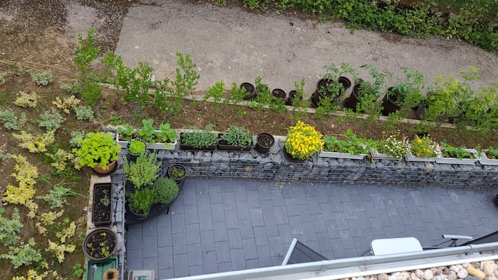 Zentrale 2 Zimmer Wohnung - Bietigheim-Bissingen