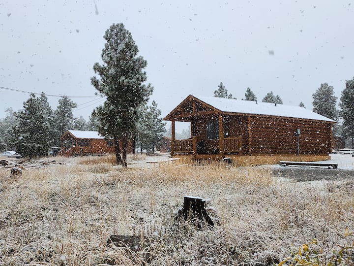 Lake-side Cabin - Alpine 25 - Flaming Gorge National Recreation Area, Manila