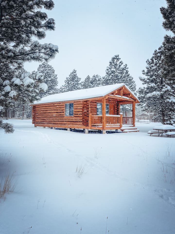 Hand-crafted Log Cabin At Red Canyon - Alpine 20 - Sunny Cove, Dutch John