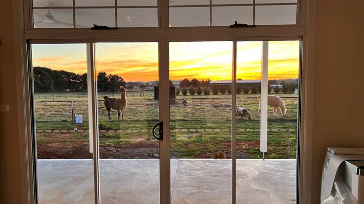 The Llama Lodge - Private Country Guest House - Millthorpe