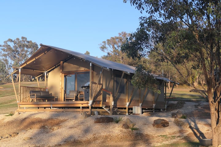 The Yellow Box Wood - Emu Valley - Heathcote