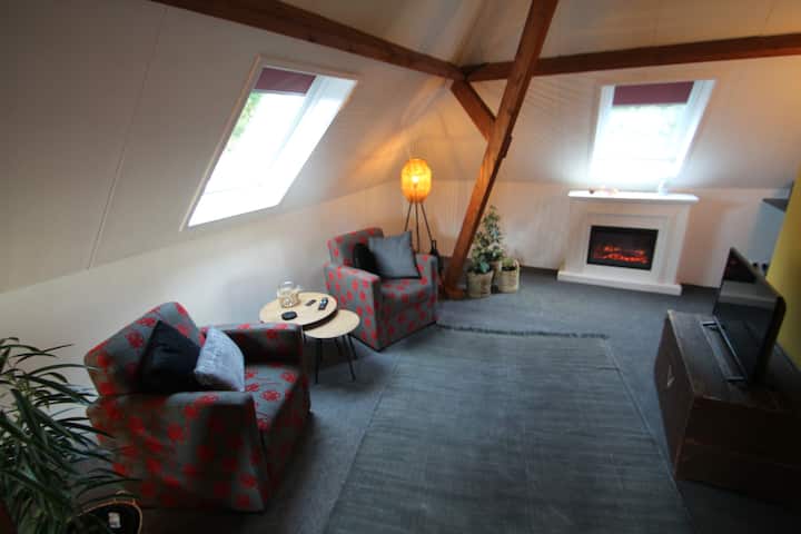 Kamer Kamille Met Finse Sauna - Slagharen